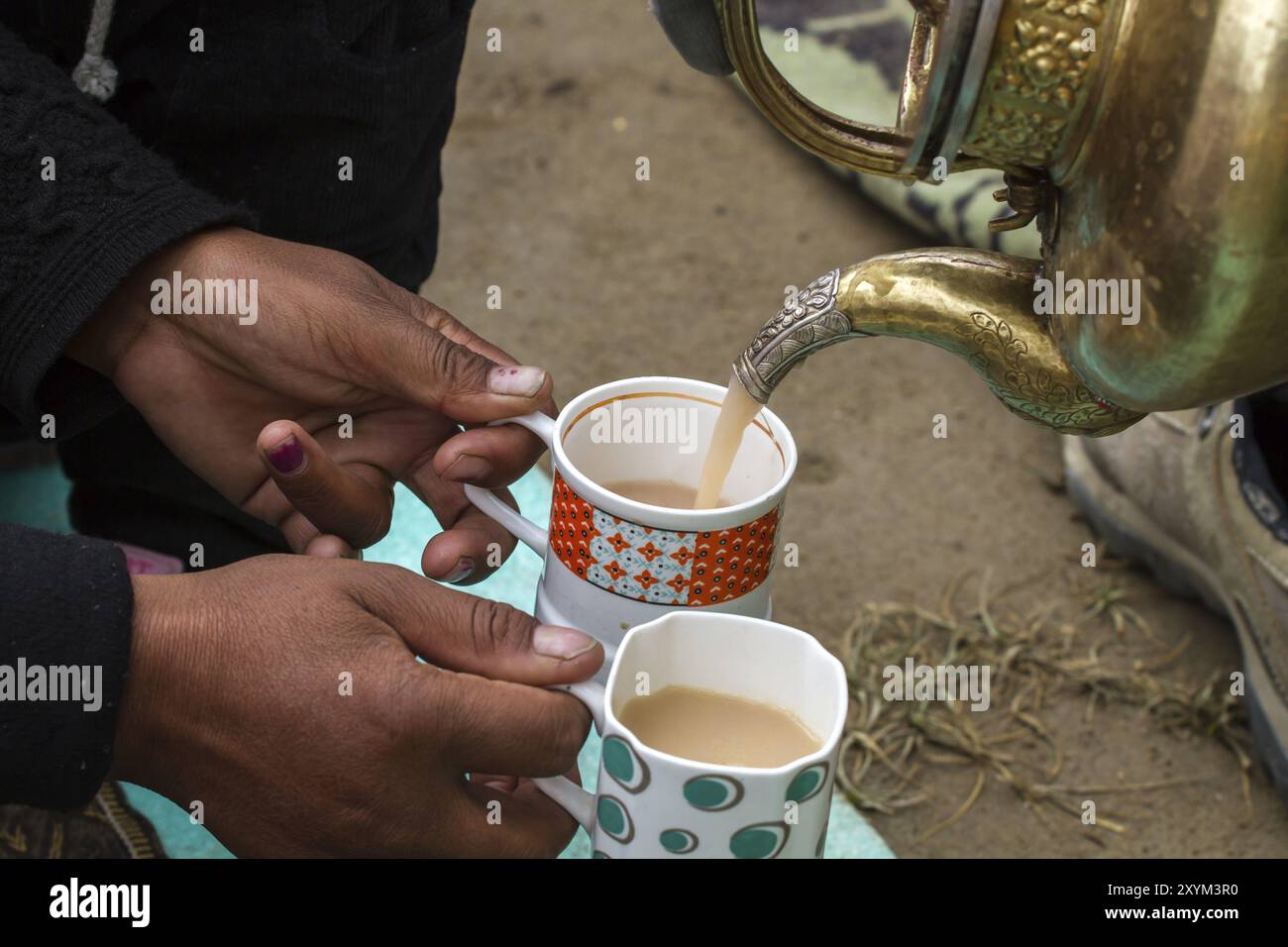 Serving tea in Ladakh, India, Asia Stock Photo - Alamy