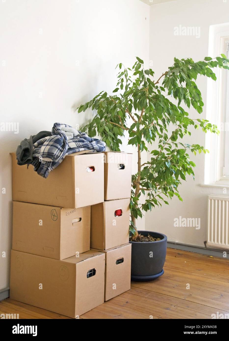 Many stacked moving boxes in a room Stock Photo - Alamy