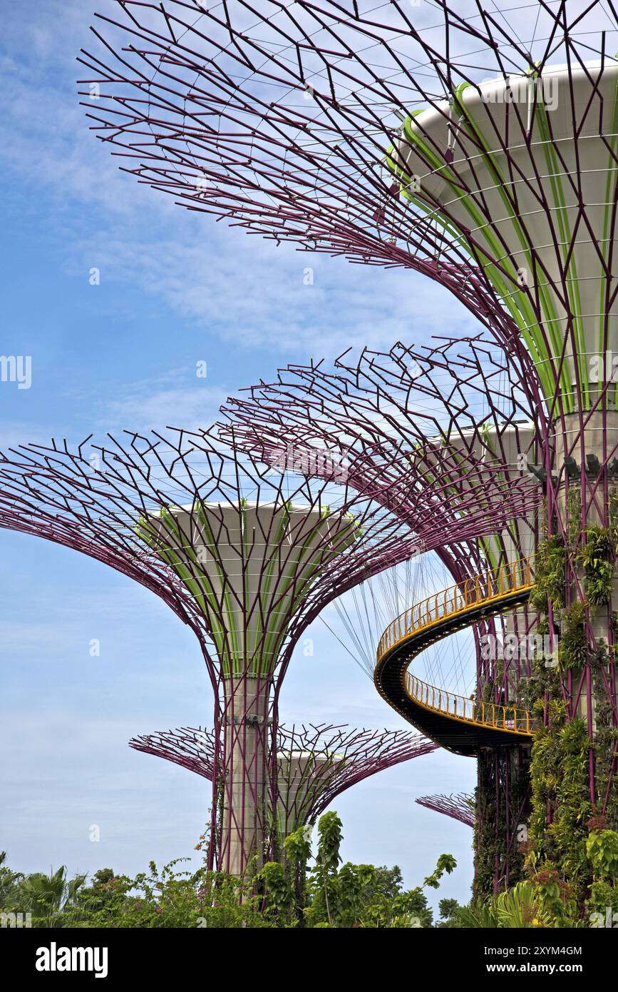 Supertrees in the famous gardens by the bay, Singapore, Asia Stock ...