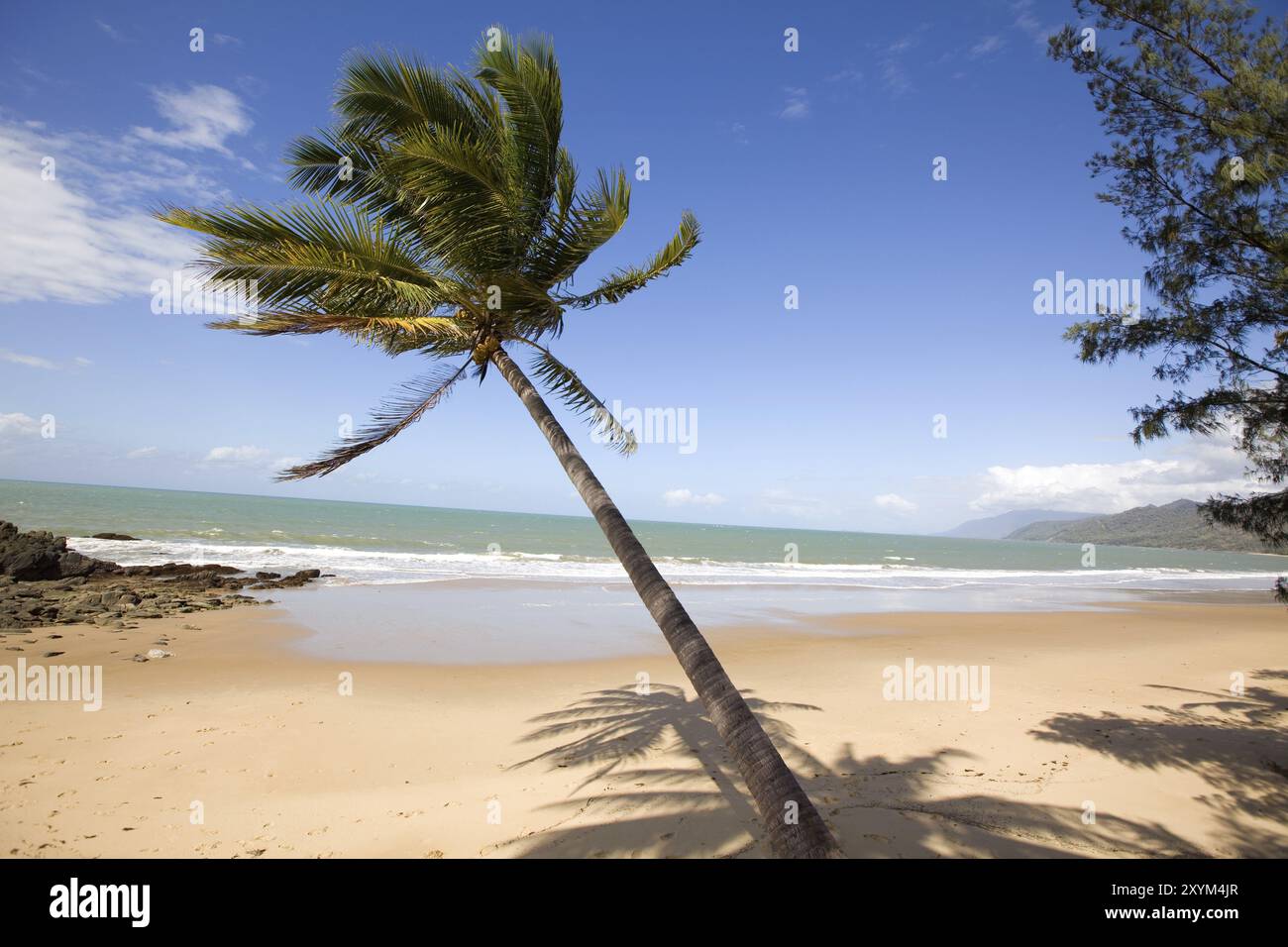 Thala Beach a dream beach on the coast of Australia Stock Photo - Alamy