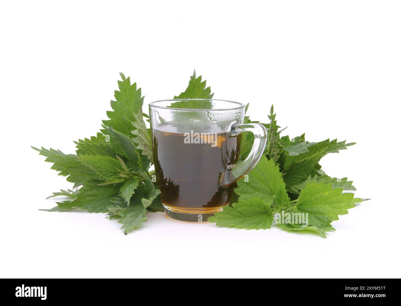 Nettle tea, nettle tea Stock Photo - Alamy