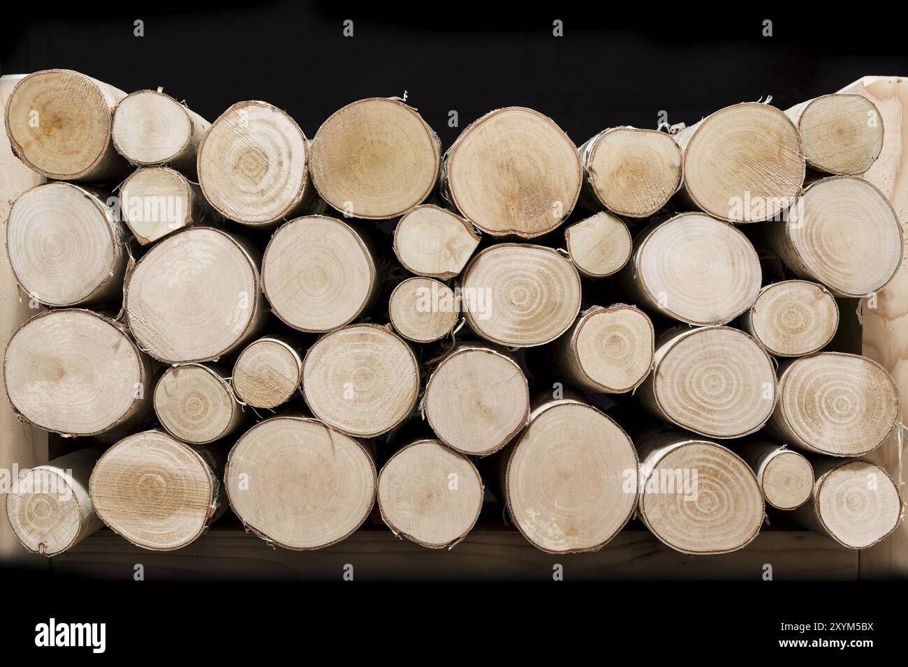 Birch wood, stack on black background Stock Photo - Alamy