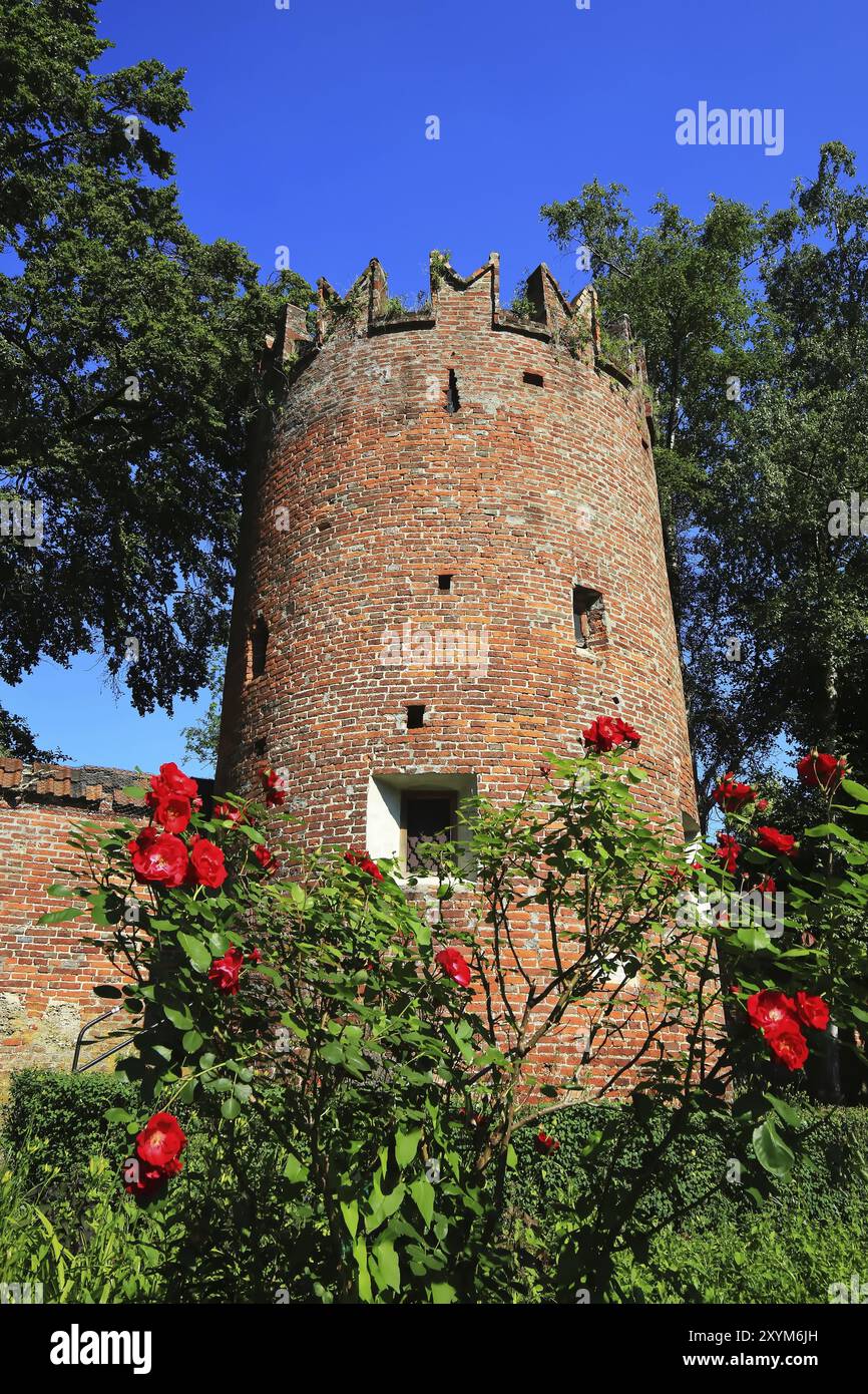 Swallowtail tower with roses Stock Photo - Alamy