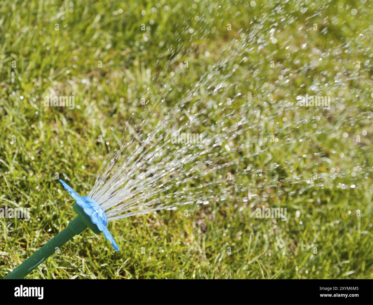 Irrigating grass water sprinkler hi-res stock photography and images ...