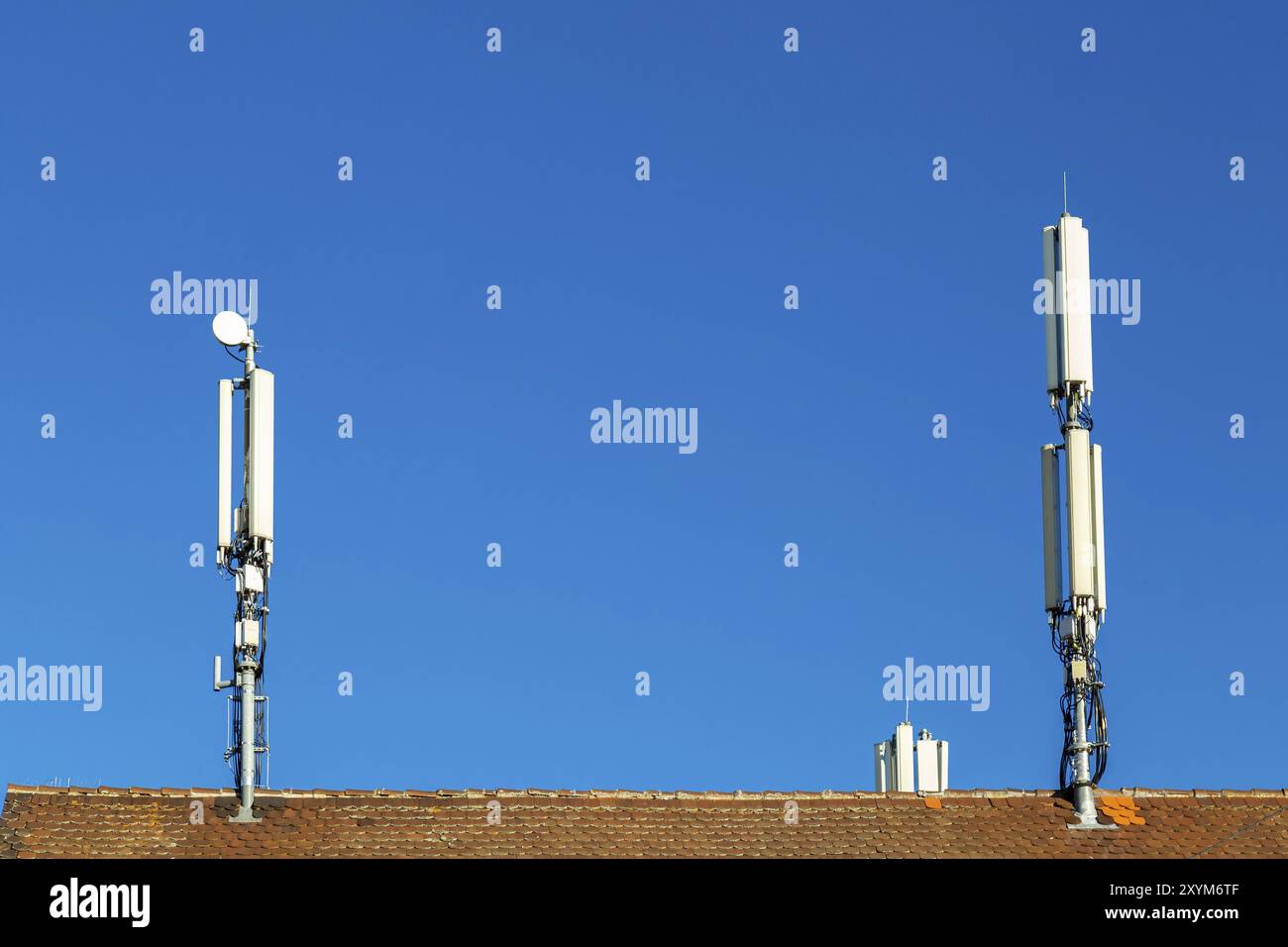 Birds on phone mast hi-res stock photography and images - Alamy
