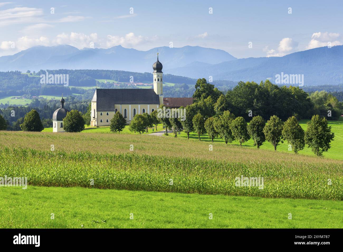 Pilgrimage church of St Marinus and Anian in Wilparting, cornfield ...