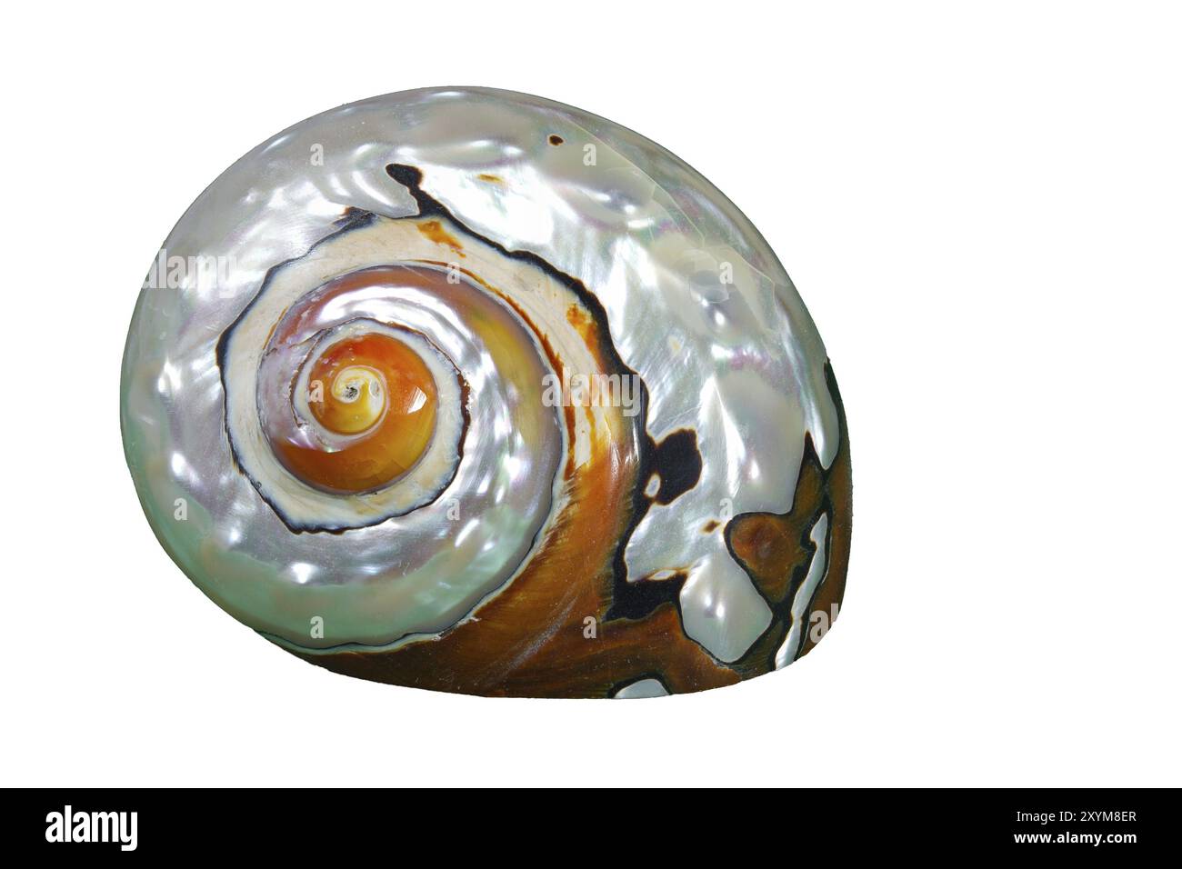 View single rock in Cut Out Stock Images & Pictures - Alamy