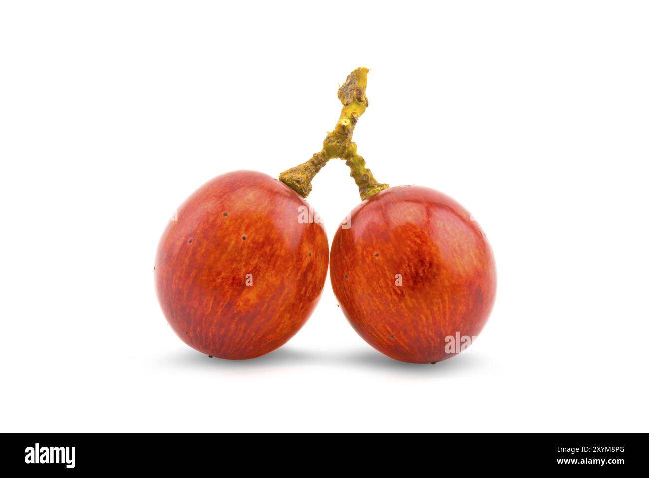 Red seedless grapes isolated on white background Stock Photo - Alamy