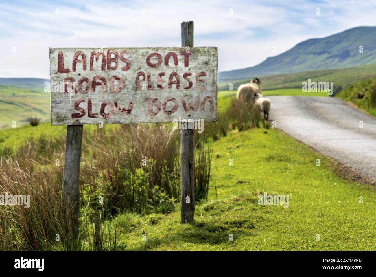 Please slow hi-res stock photography and images - Alamy