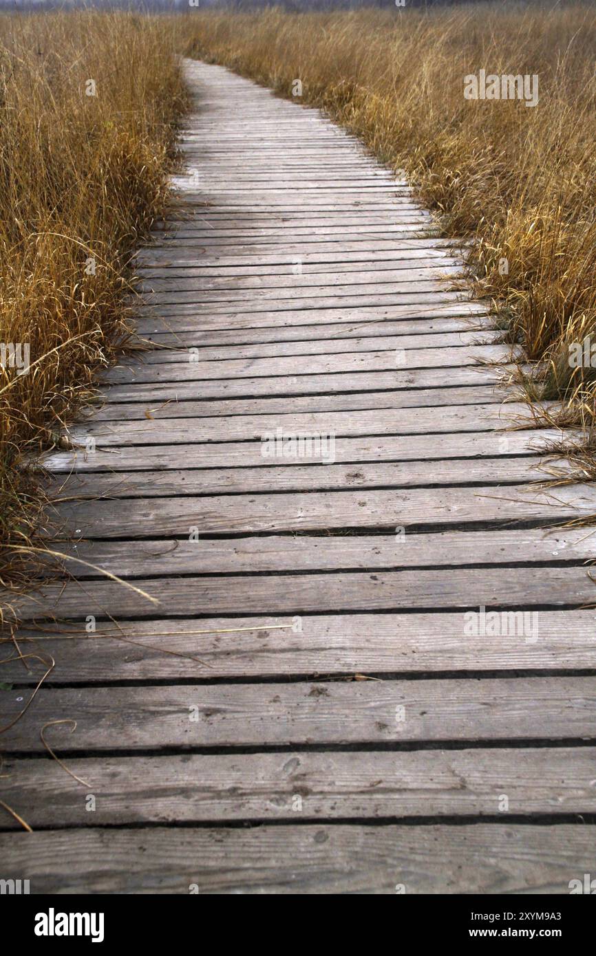 Path made wooden planks walkway hi-res stock photography and images - Alamy
