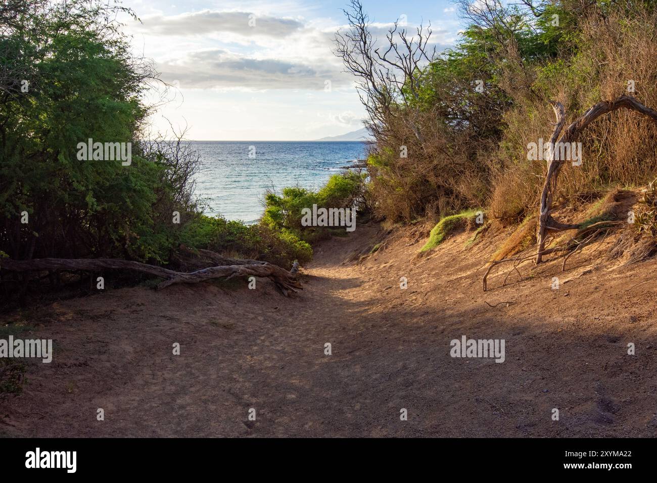 Link between the Big beach and little beach of Makena state park on ...