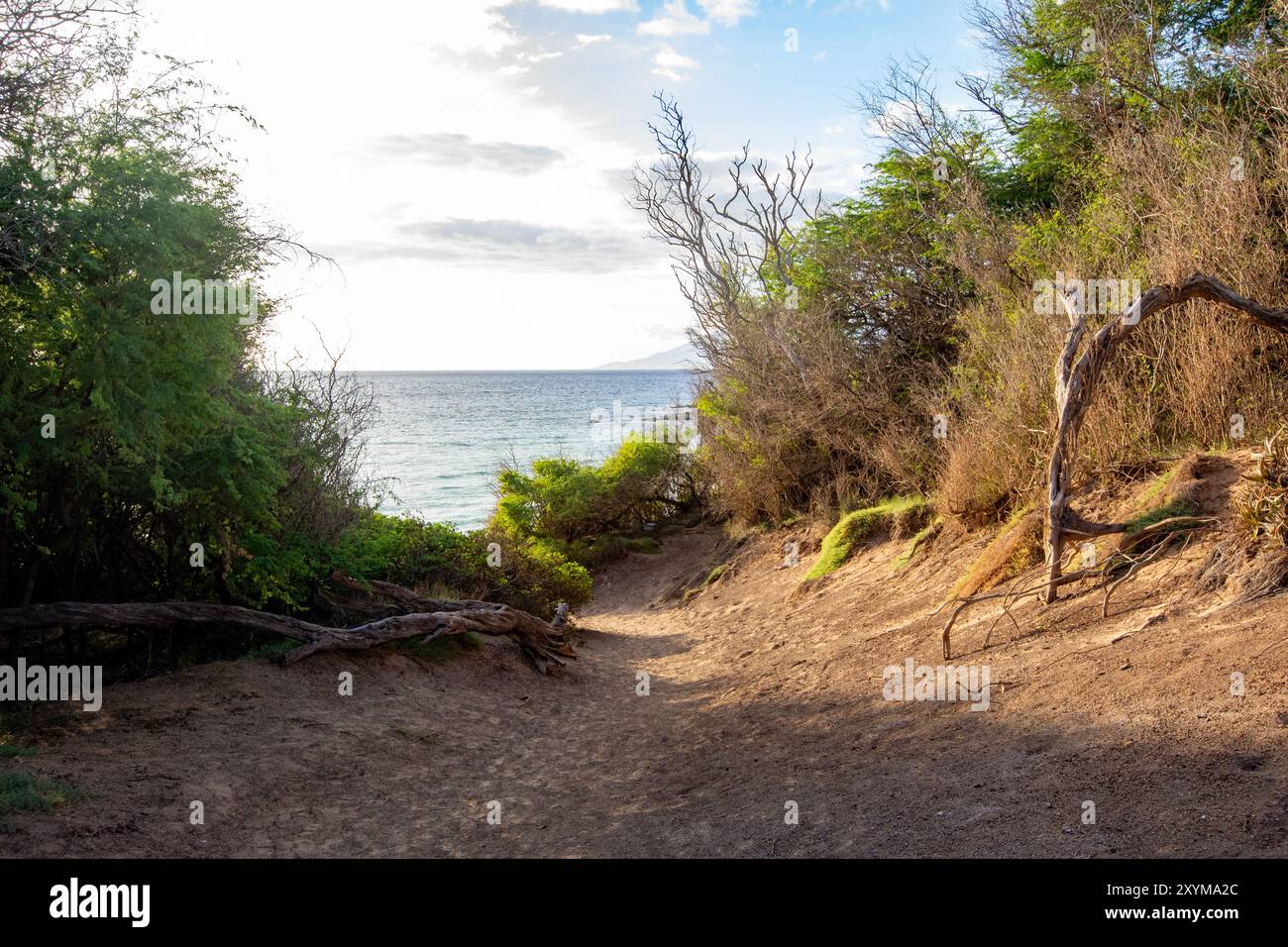 Link between the Big beach and little beach of Makena state park on ...
