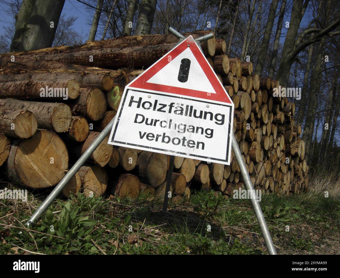 Warning sign on a forest path Stock Photo - Alamy