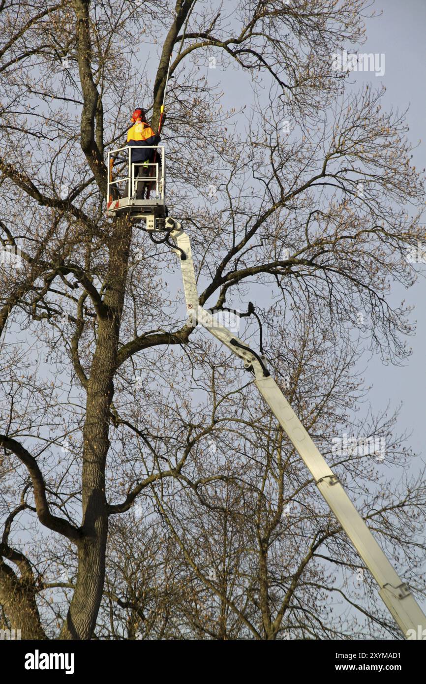 Yard prunings hi-res stock photography and images - Alamy