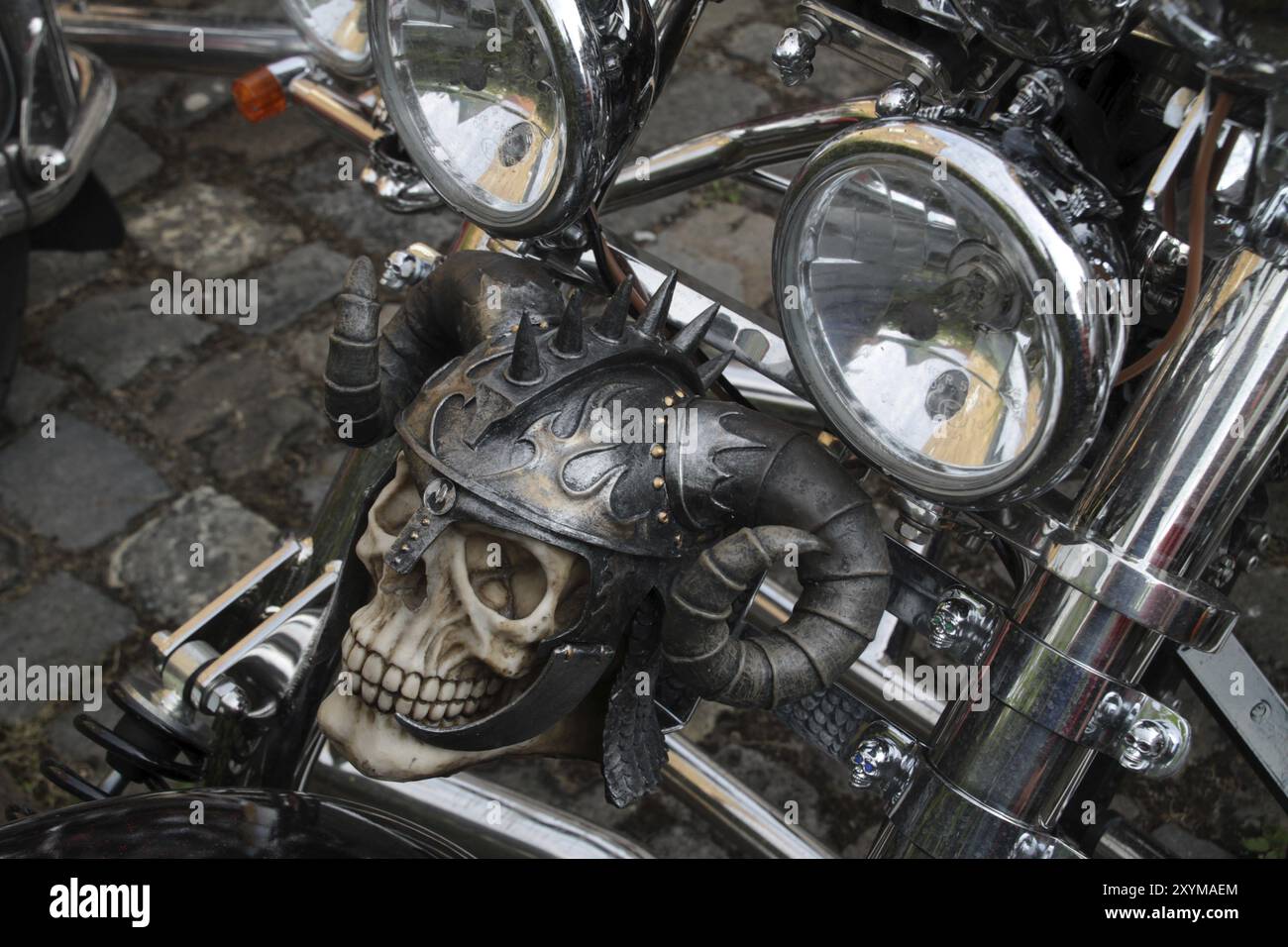 Skull on a motorbike Stock Photo - Alamy