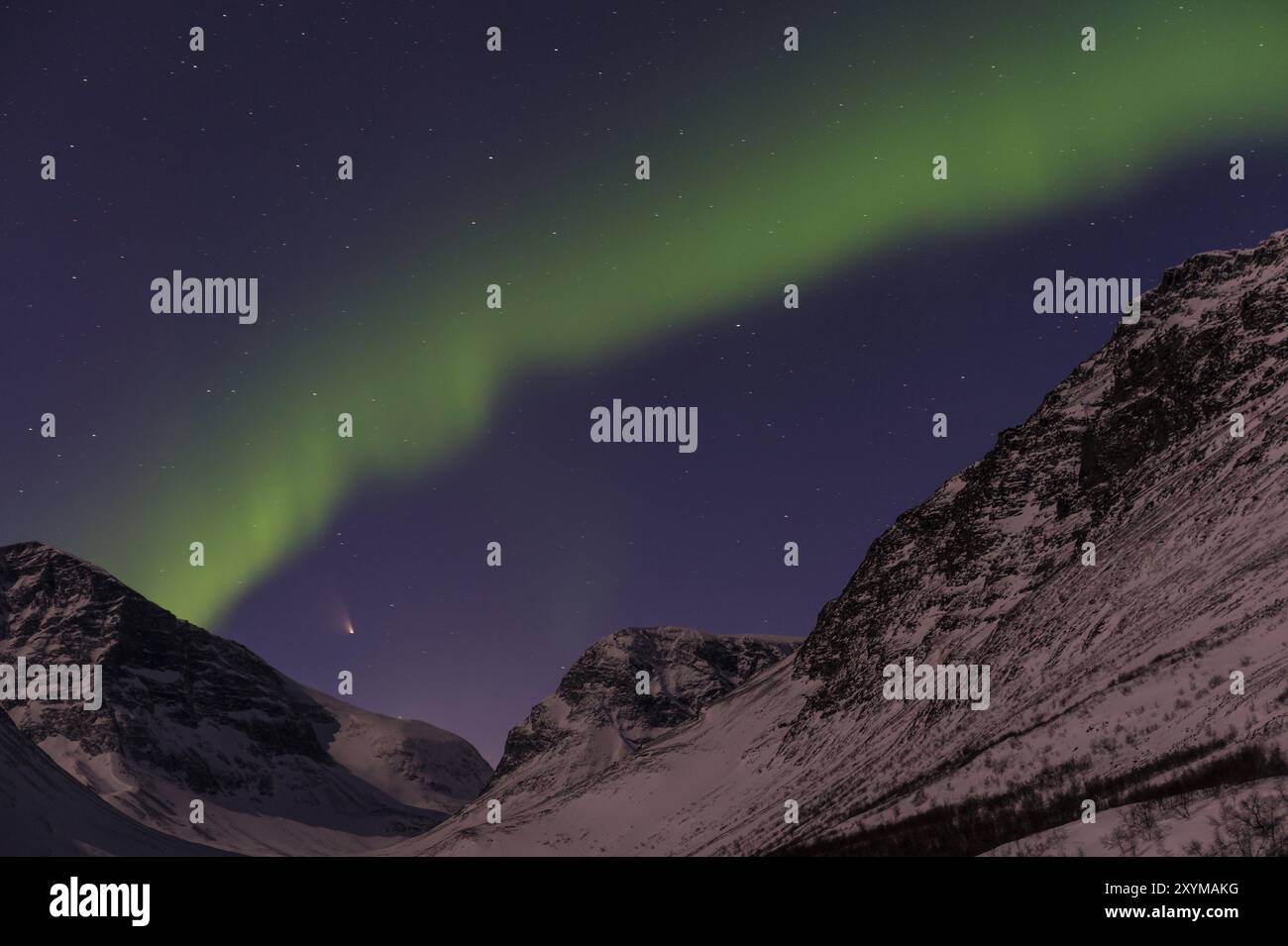 Pan starrs hi-res stock photography and images - Alamy
