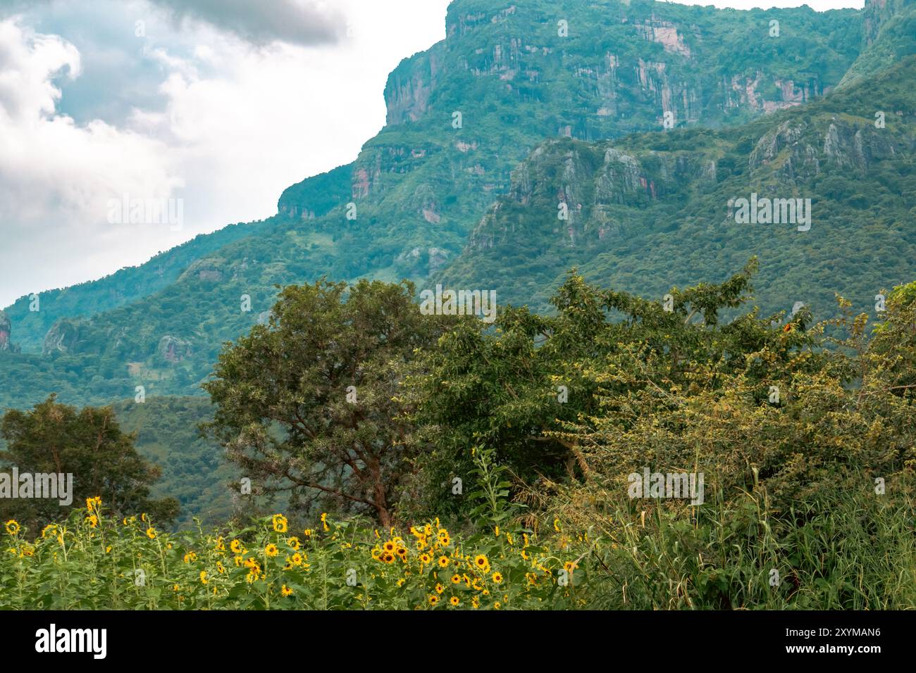 Karamoja hi-res stock photography and images - Alamy