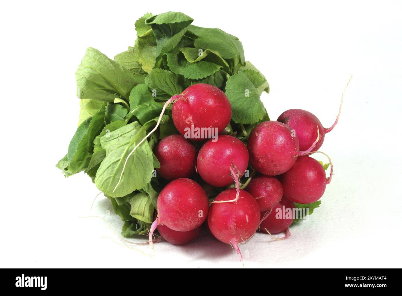 Radish in front of a white background Stock Photo - Alamy
