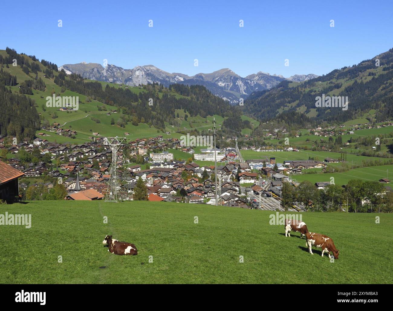 Grazing breeds village hi-res stock photography and images - Alamy