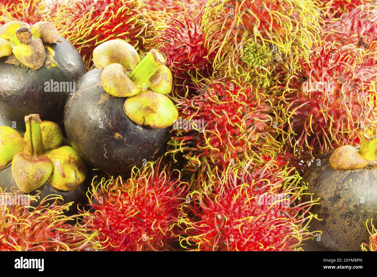 Rambutan mangosteen fruits hi-res stock photography and images - Alamy