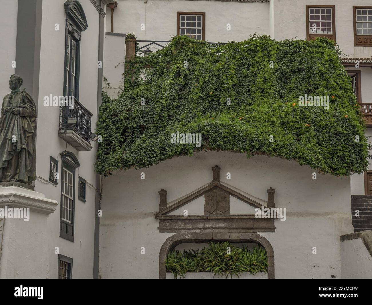 Historic building covered in ivy, next to a statue, with windows and ...