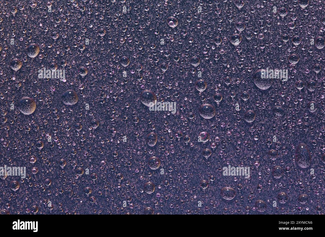 Textured purple surface with water drops. Nature collection Stock Photo ...