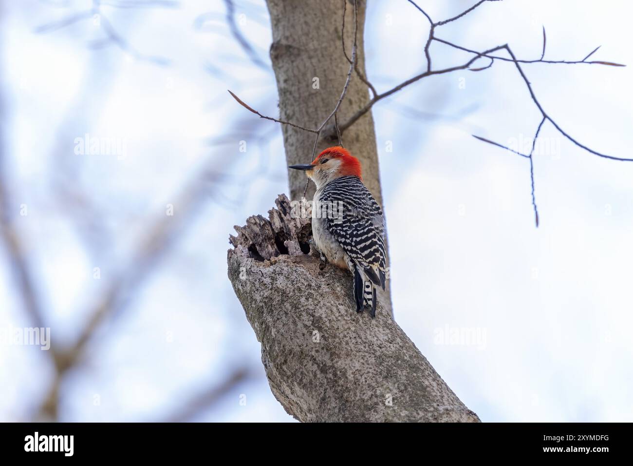Natural scene from Wisconsin, USA, North America Stock Photo - Alamy