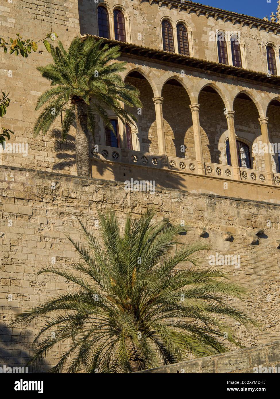 Architecture of a castle with palm trees and several windows on the ...