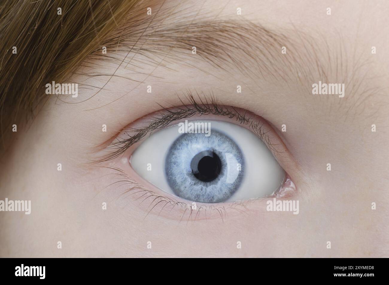 Close up children blue eyes hi-res stock photography and images - Alamy