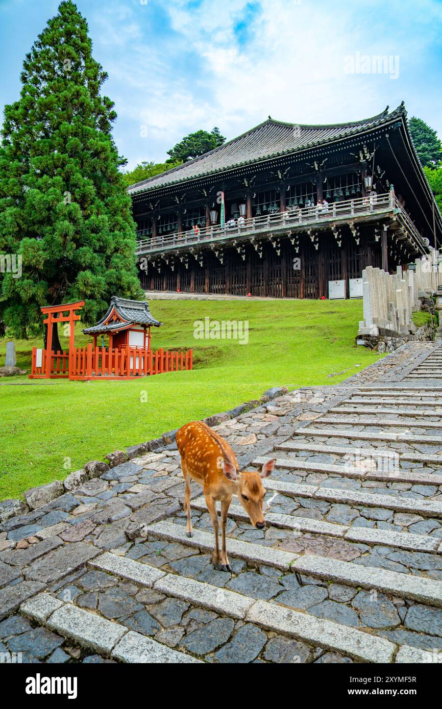 Todaiji Nigatsudo February Hall temple in Nara, Japan Stock Photo - Alamy