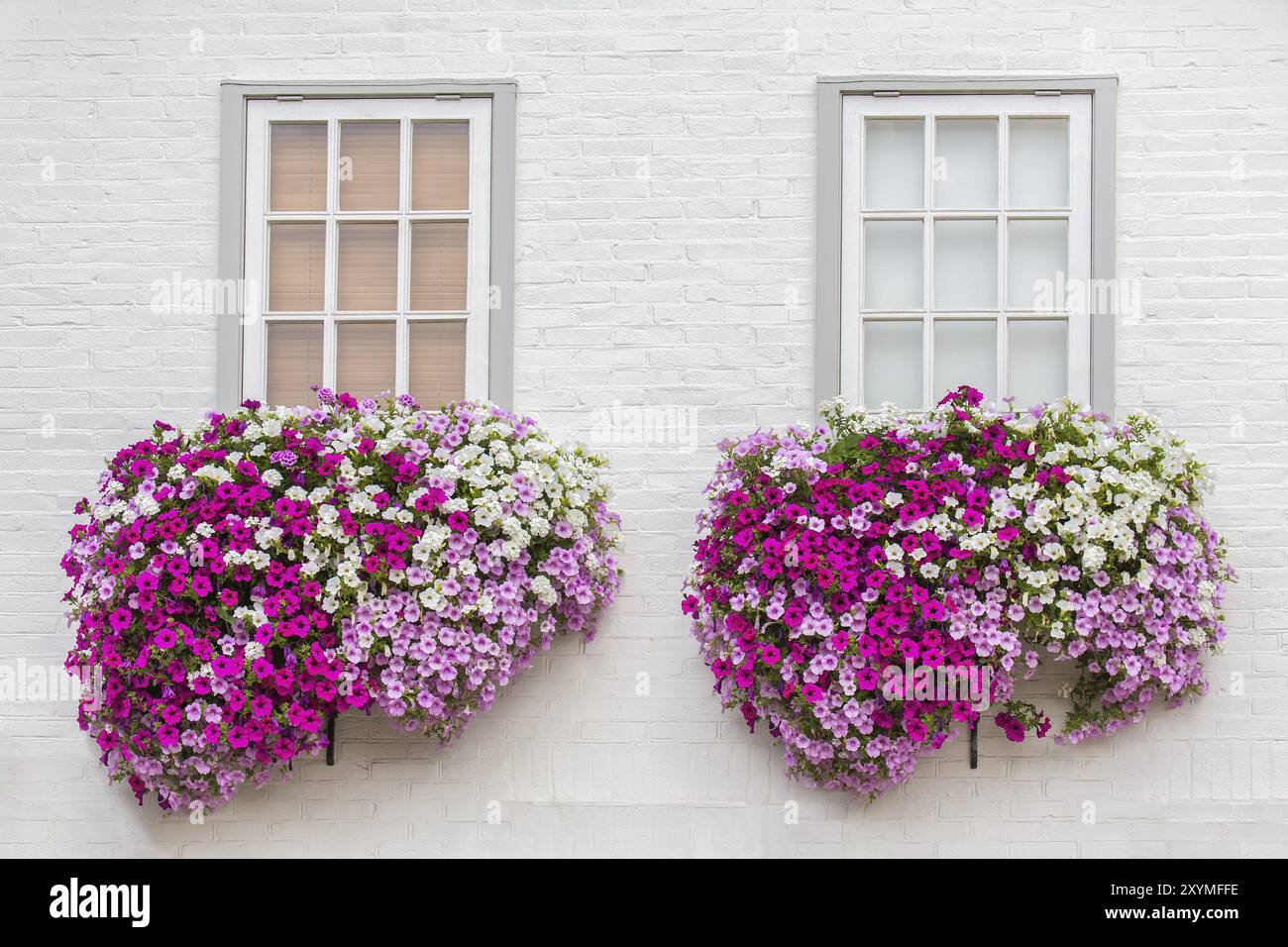 Window boxes flowers stone hi-res stock photography and images - Alamy