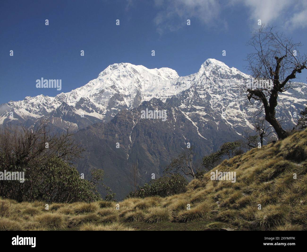 Himal chuli hi-res stock photography and images - Alamy