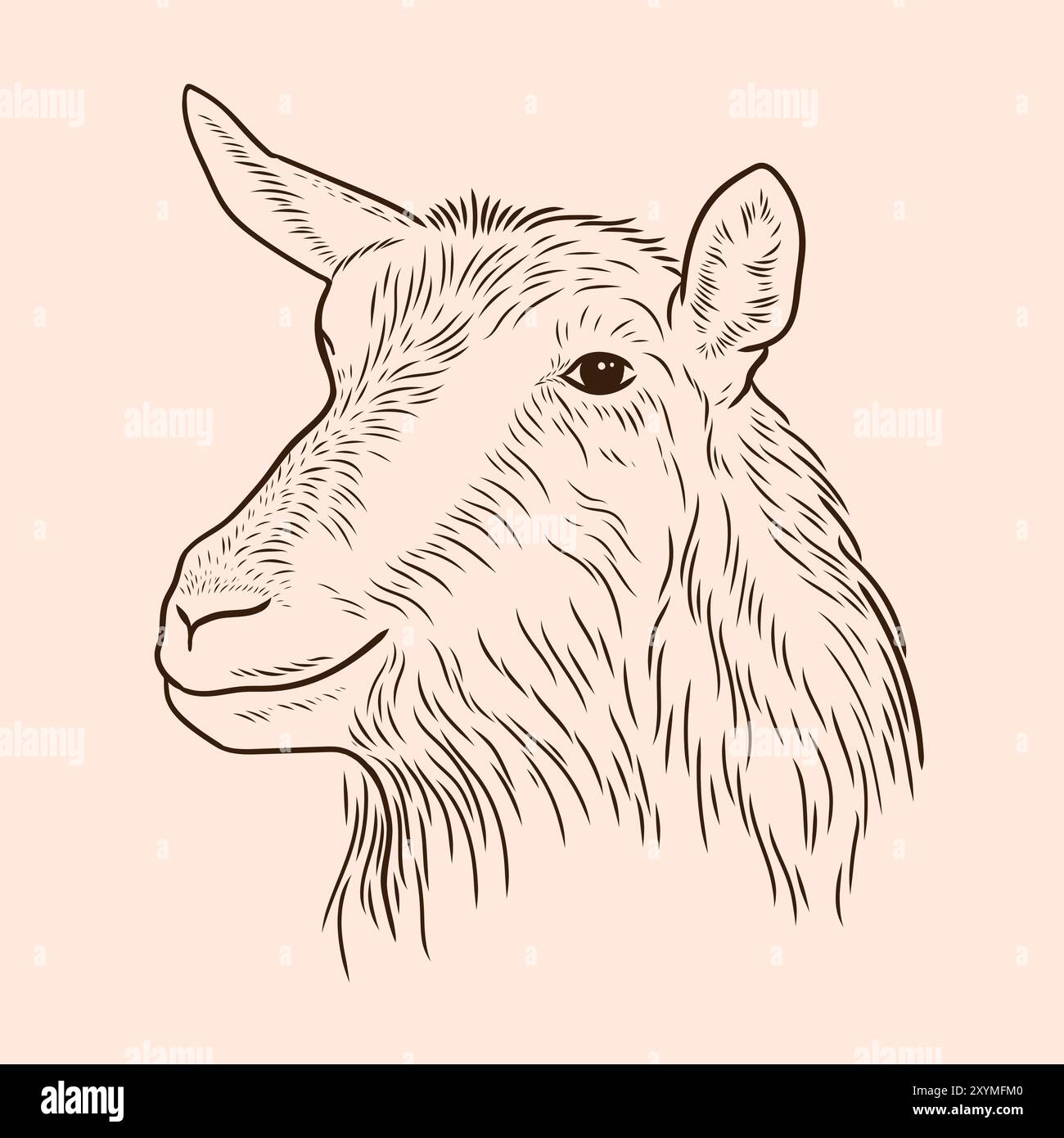 Goat Head Drawing Side View