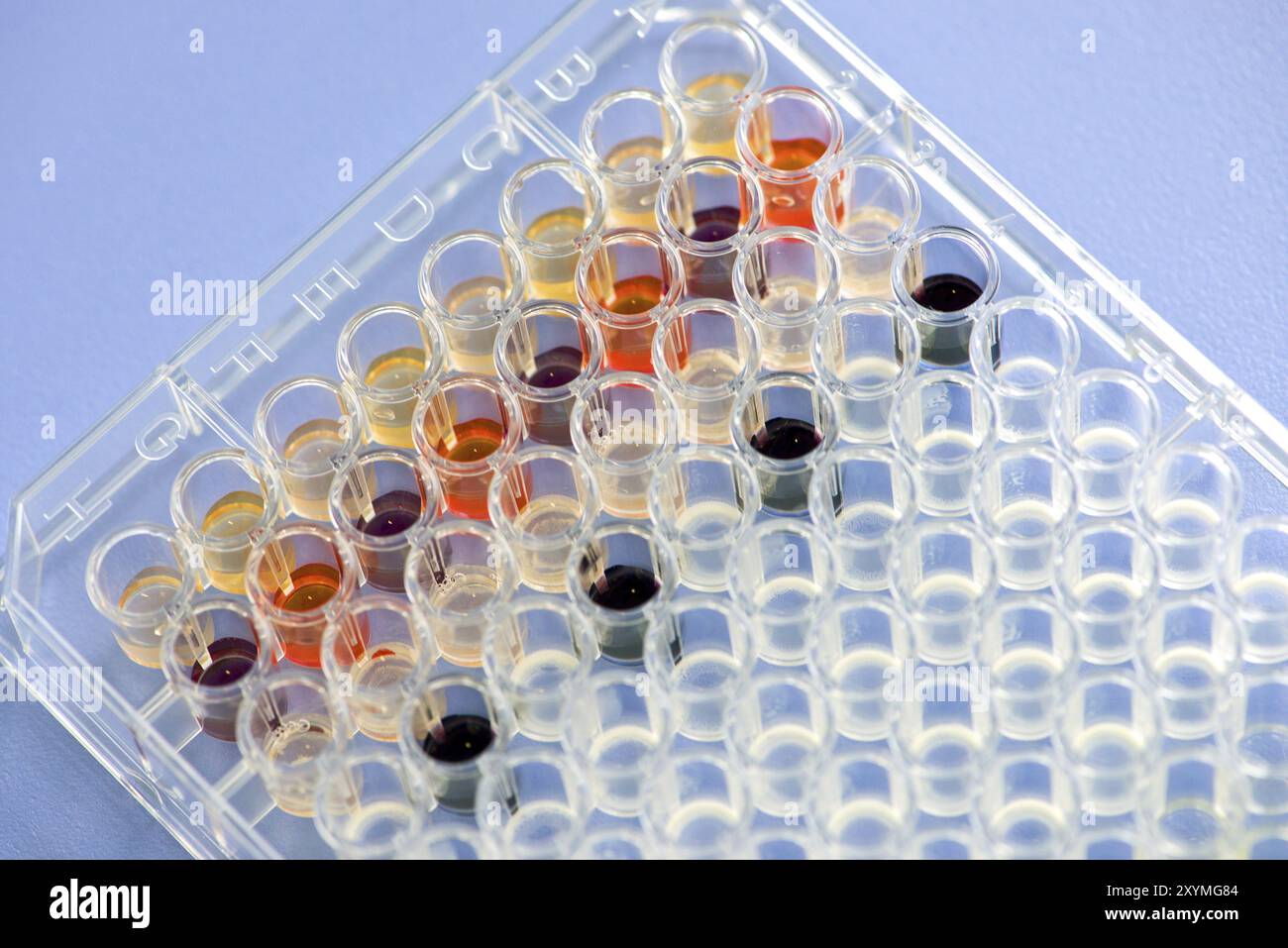 Microplate hi-res stock photography and images - Alamy