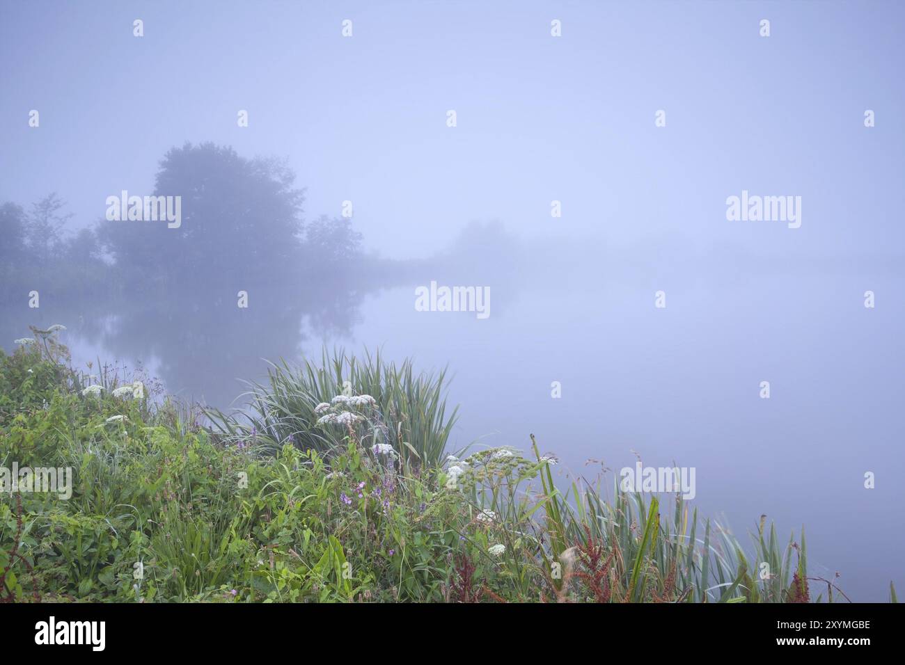 Dense fogs hi-res stock photography and images - Alamy