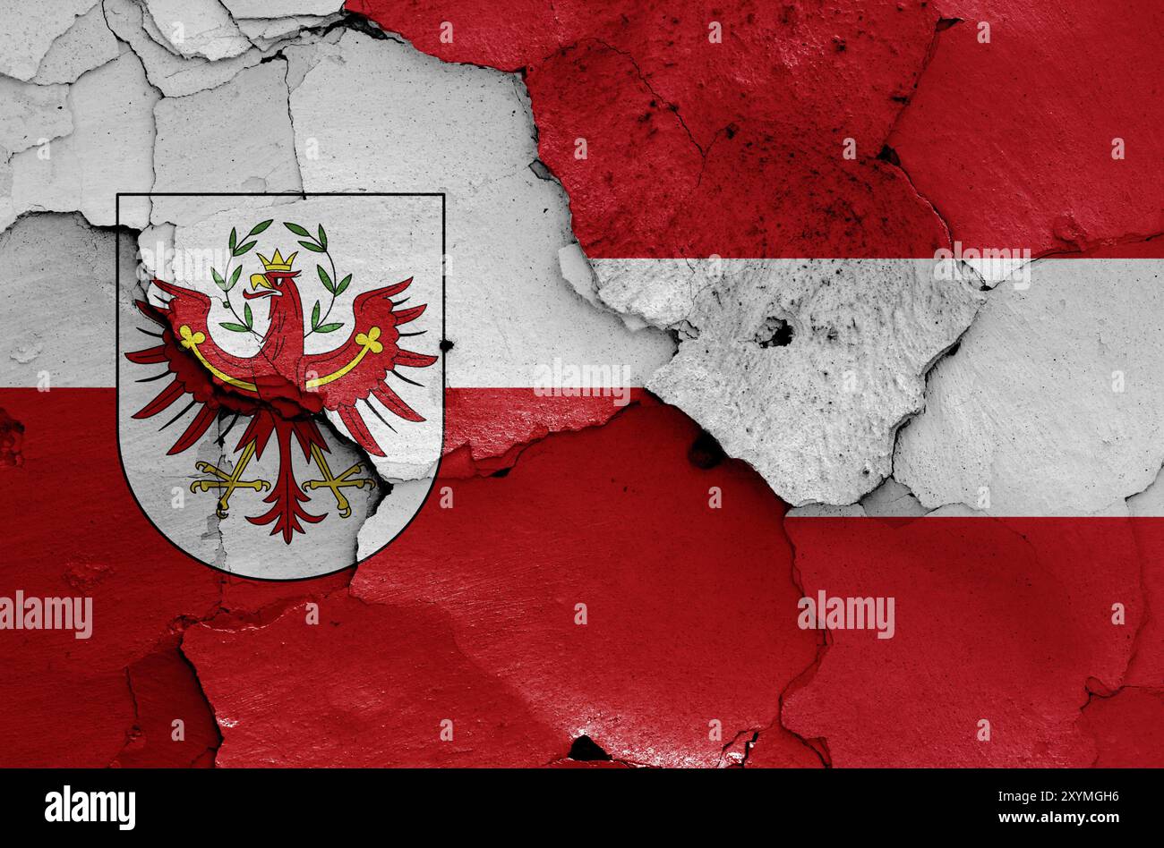 Flags of Tyrol state and Austria painted on cracked wall Stock Photo ...