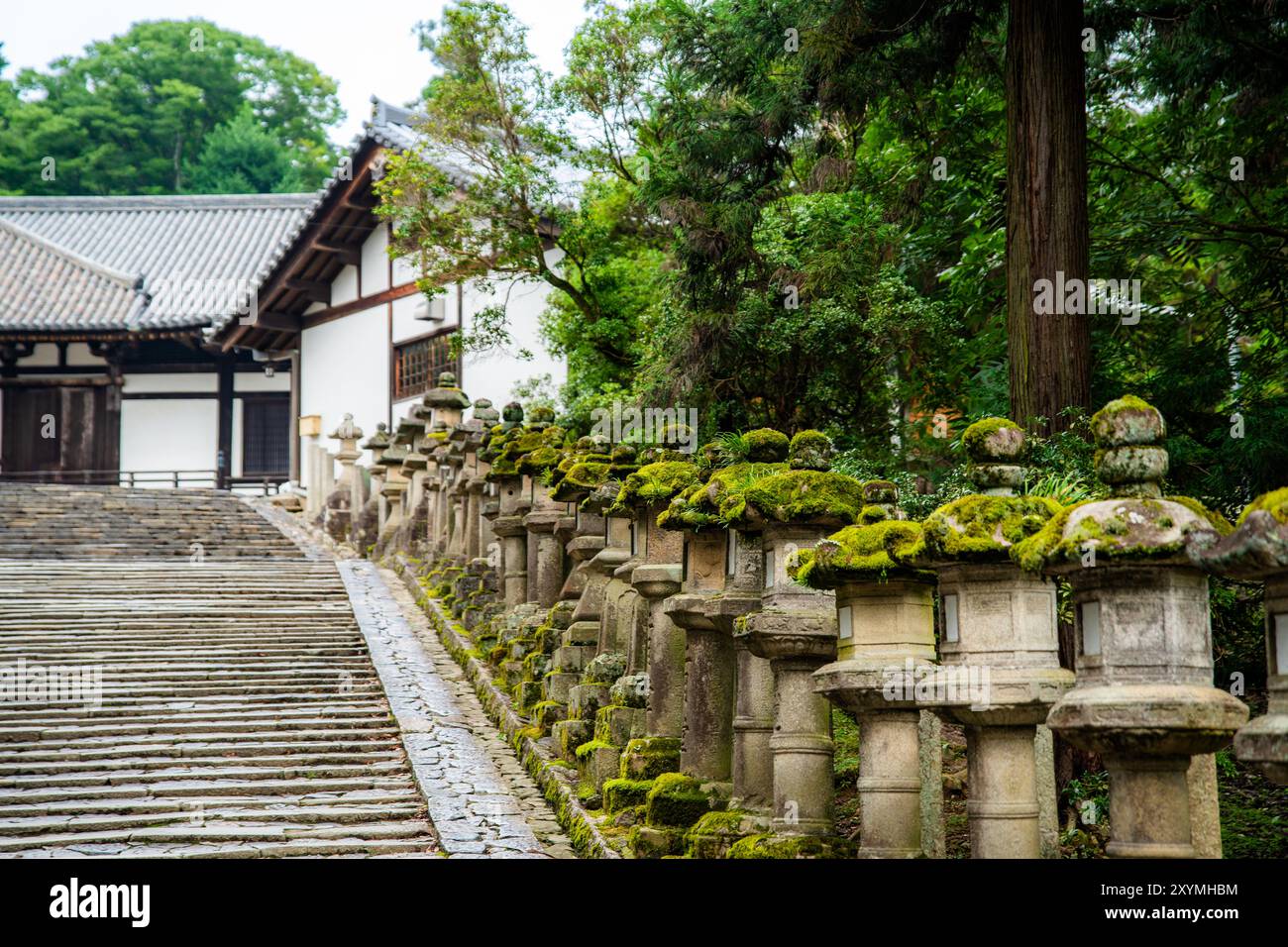Todaiji Nigatsudo February Hall temple in Nara, Japan Stock Photo - Alamy