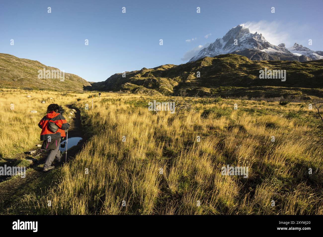Sistema grande hi-res stock photography and images - Alamy