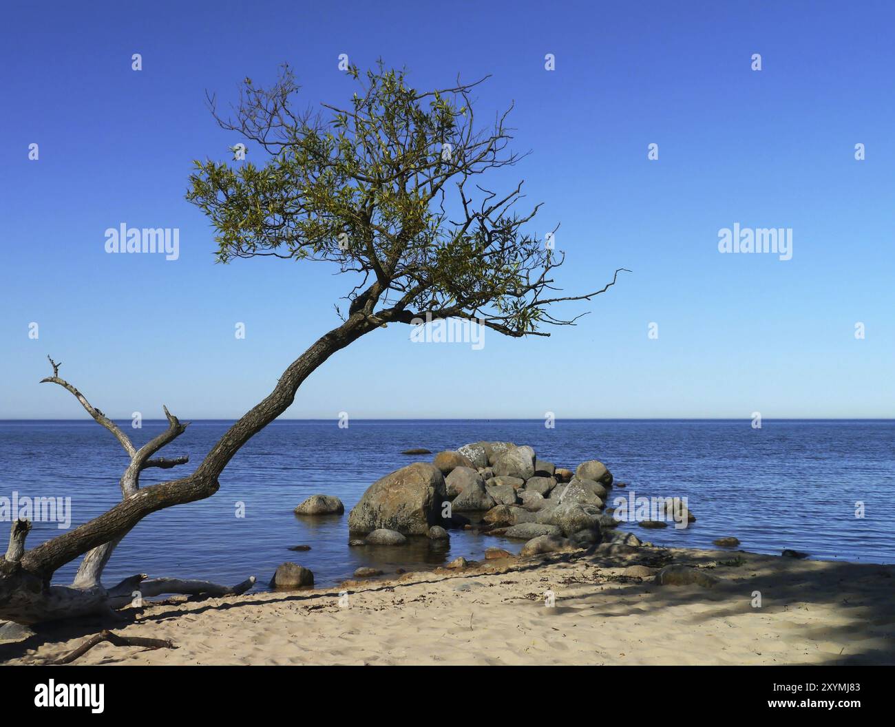 On the beach at Kivik Stock Photo - Alamy