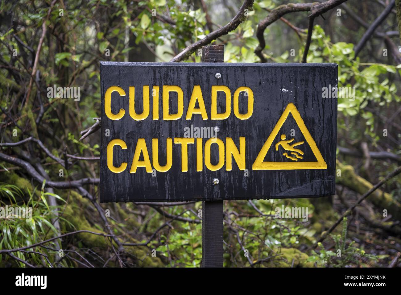 Warning sign Cuidado Caution, Attention danger of slipping, in the ...