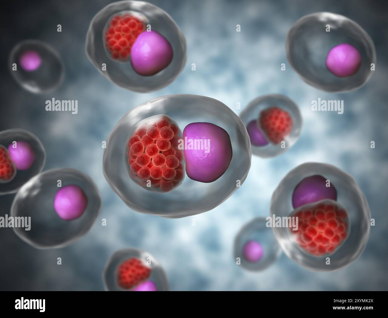 Microscopic group hi-res stock photography and images - Alamy