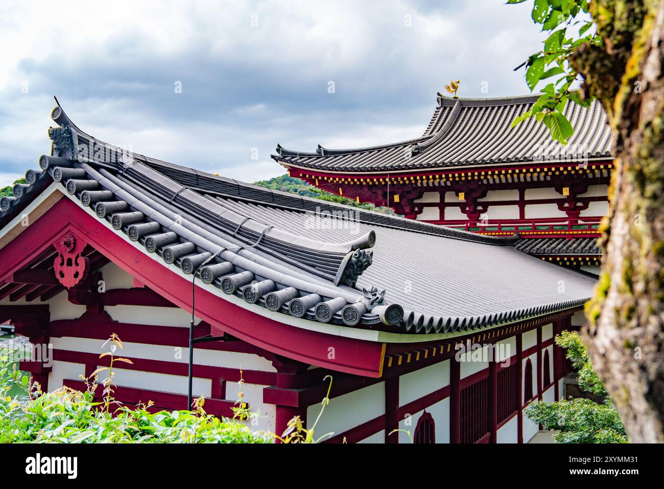 Byodo-in Temple in Kyoto, Japan Stock Photo - Alamy