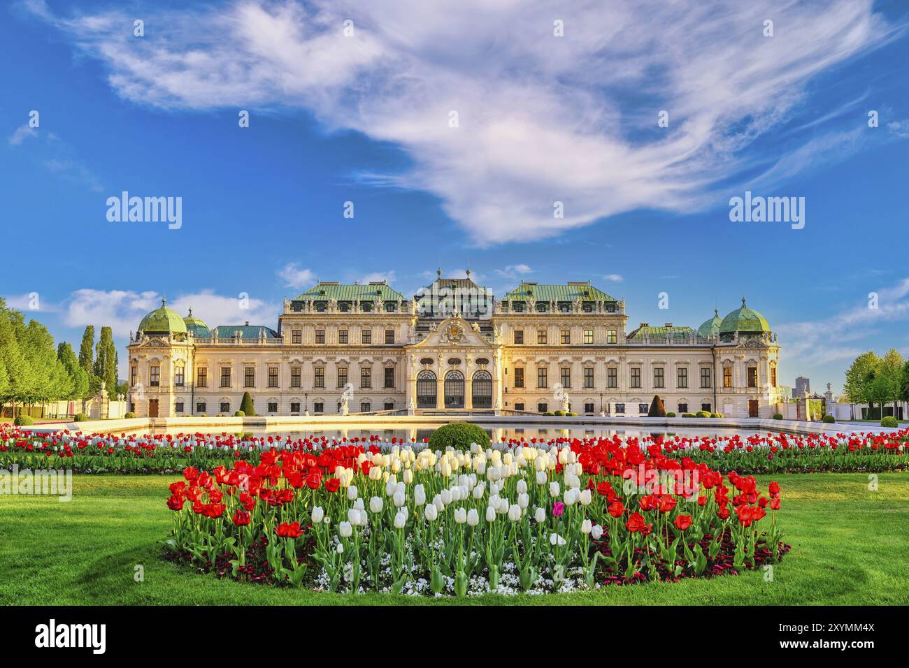 Vienna Austria city skyline at Belvedere Palace and beautiful tulip ...