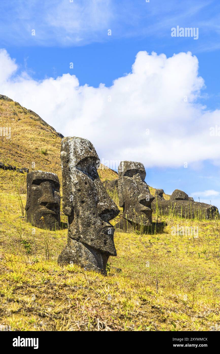 Moai, the volcanic stone carving at Rapa Nui National Park in Easter ...