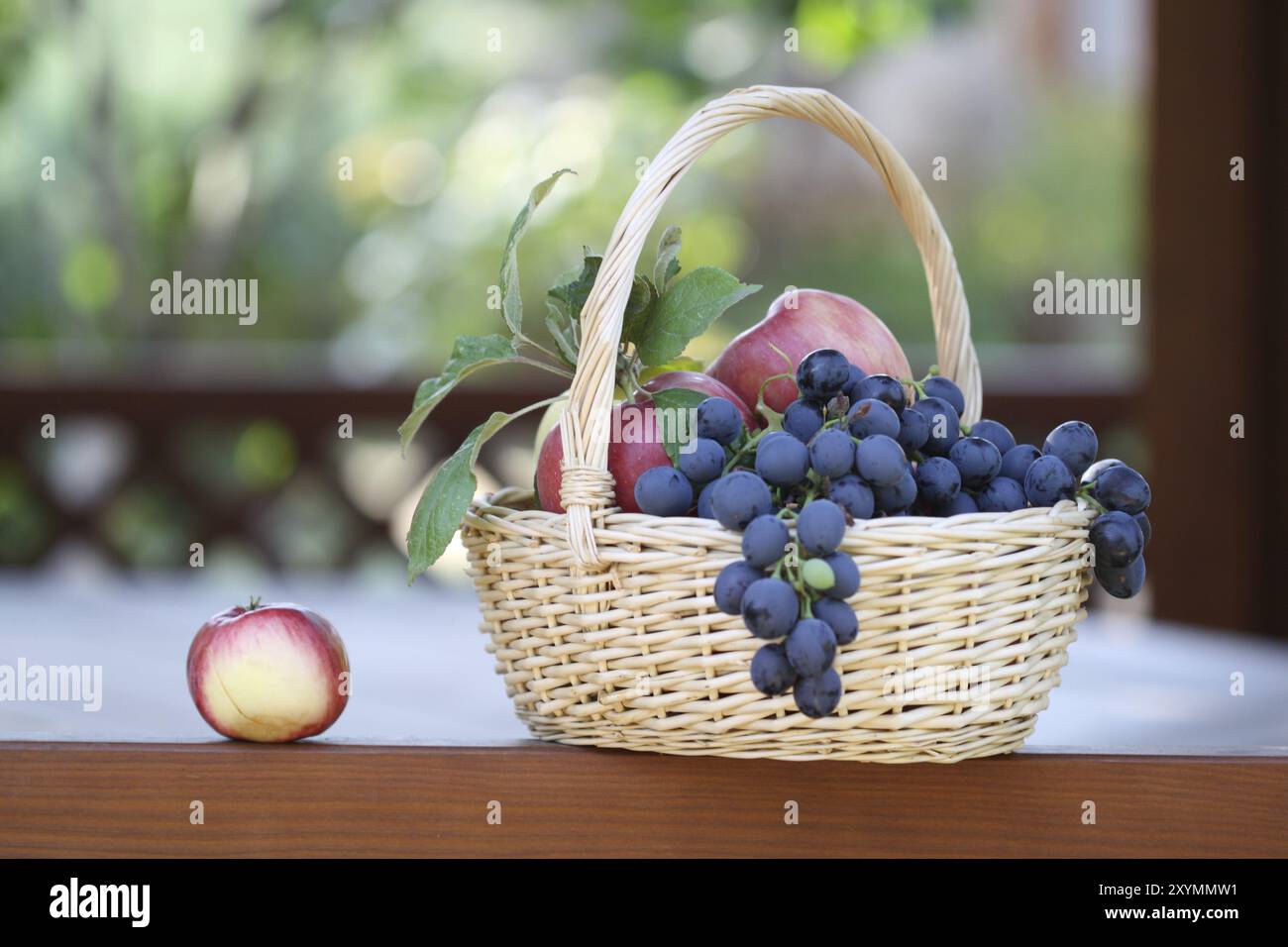 Grapes in open air hi-res stock photography and images - Alamy
