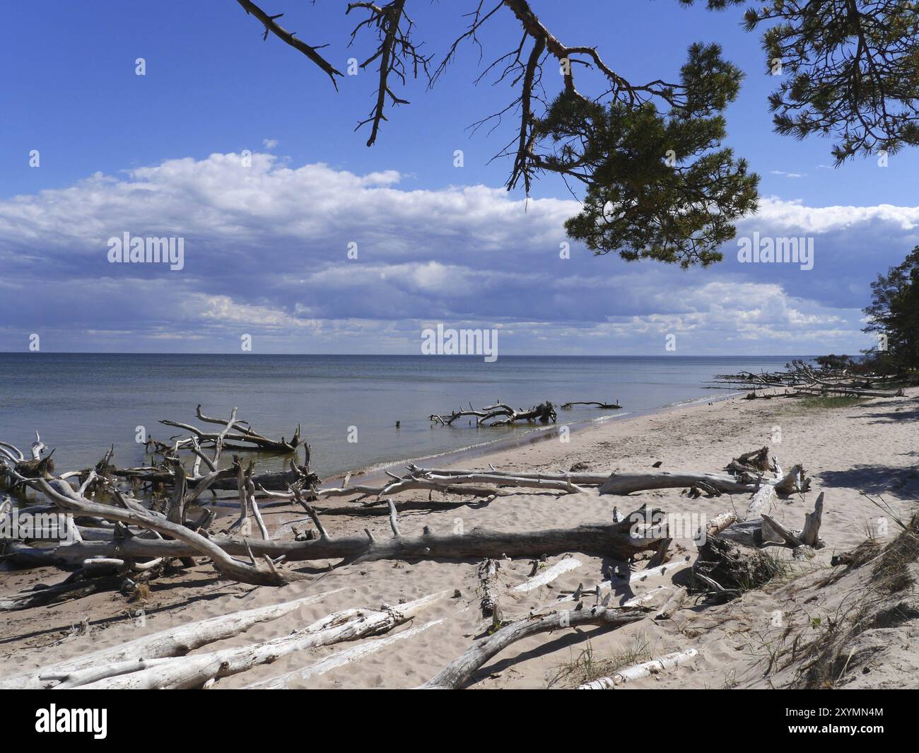 Bay beach beaches people cape headland hi-res stock photography and ...