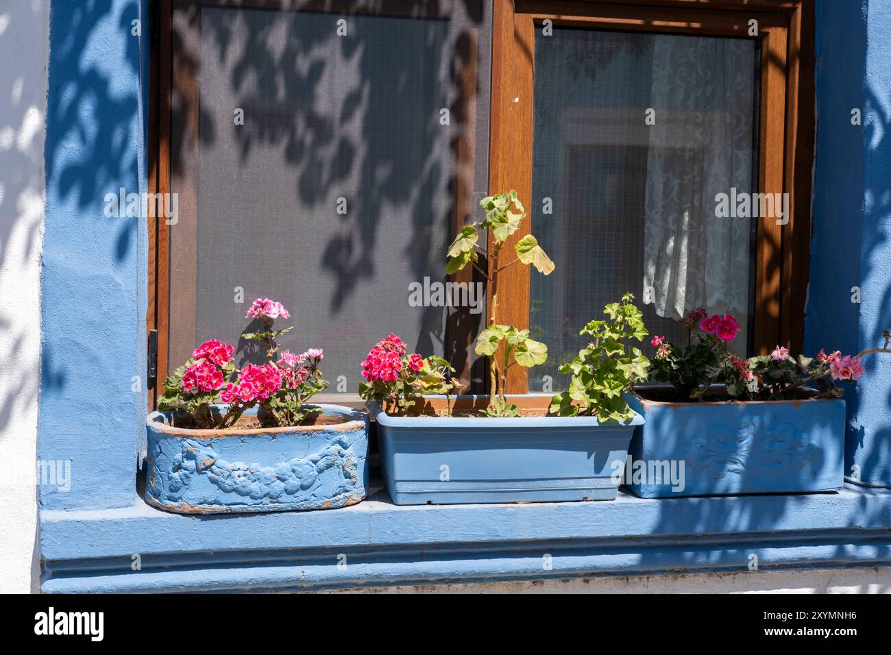 Blue flower pots on window island style house decoration Stock Photo ...