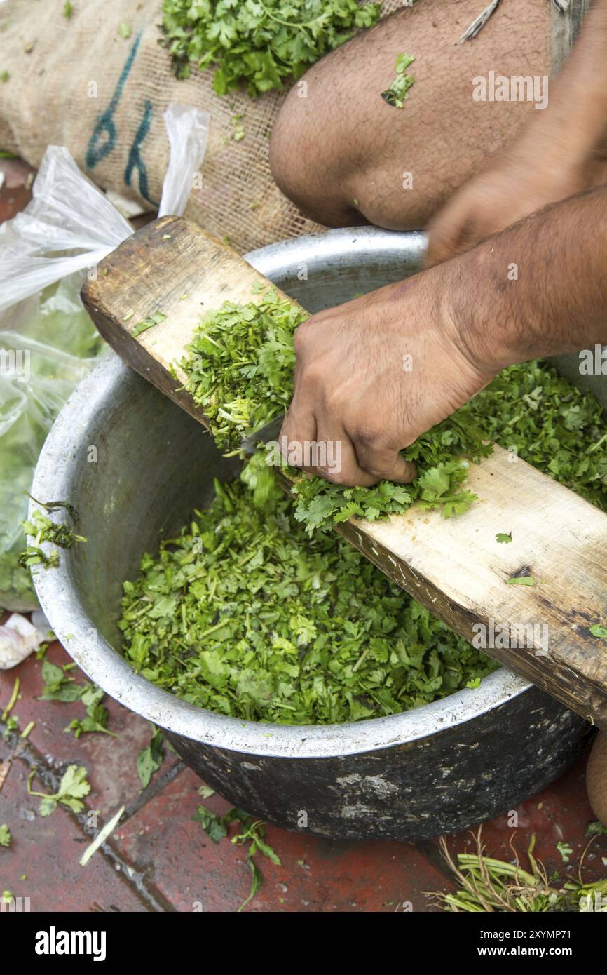 Plant of indian origin hi-res stock photography and images - Alamy