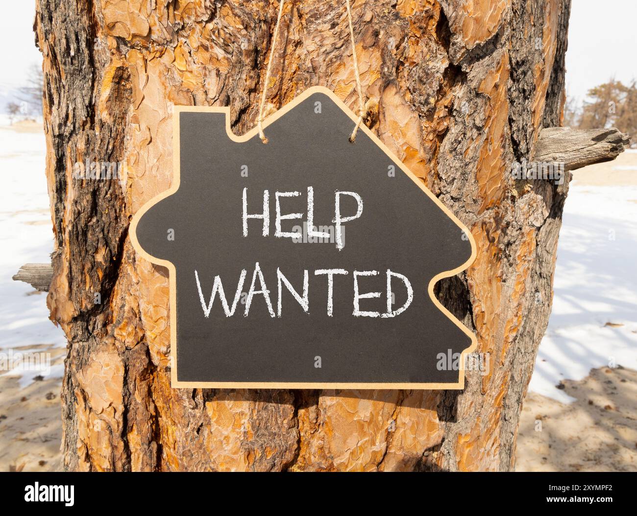Help wanted and support symbol. Concept words Help wanted on beautiful ...