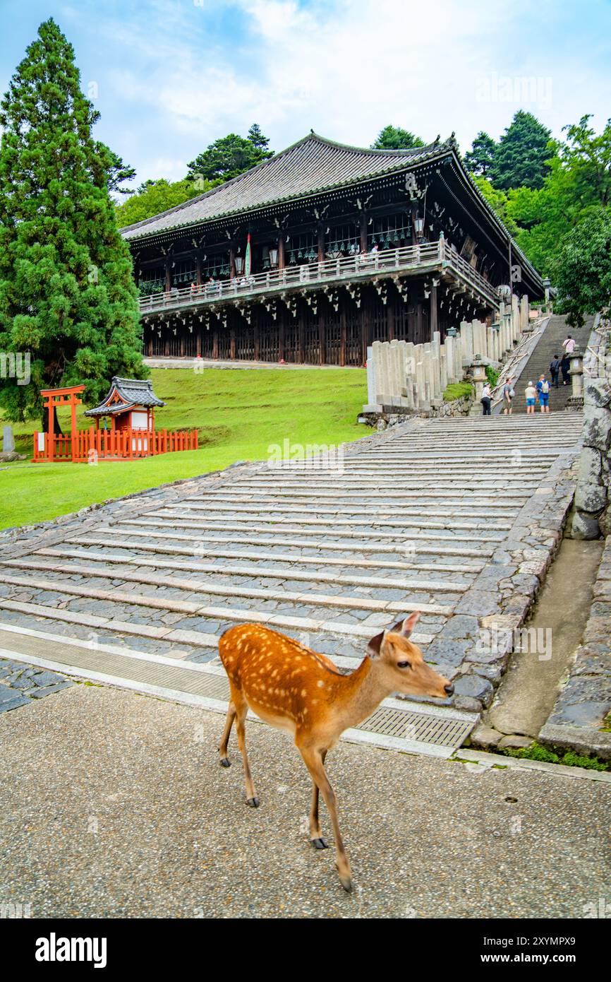 Todaiji Nigatsudo February Hall temple in Nara, Japan Stock Photo - Alamy